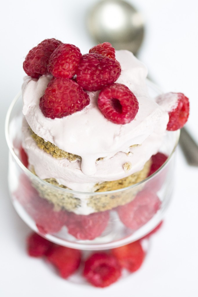 Banana Layer Cake with Screamin Brothers Raspberry Frozen Treat - Amber ...
